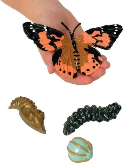 Butterfly Life Cycle Toy Models: Interactive Learning Fun for Kids