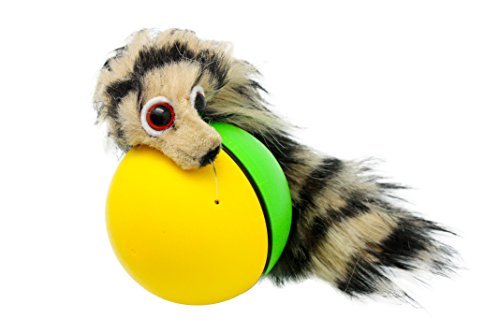 Ferret Ball Toy: Interactive and Durable Play for Happy Ferrets